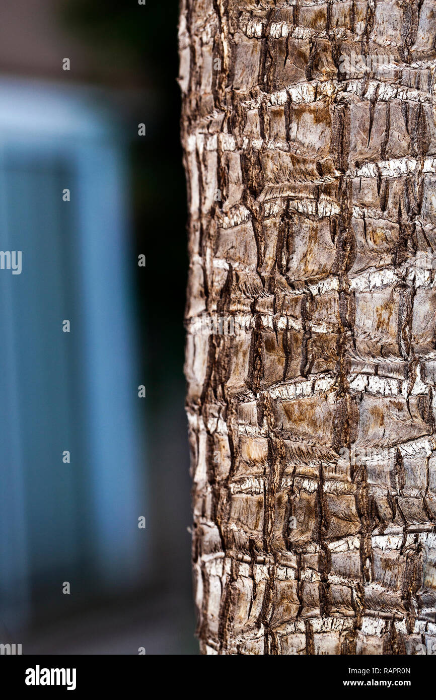 Natural Tree Wood Bark Trunk Background Material Stock Photo - Alamy