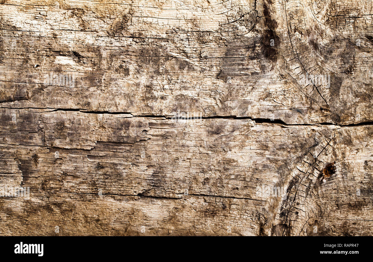 Natural Tree Wood Bark Trunk Background Material Stock Photo - Alamy