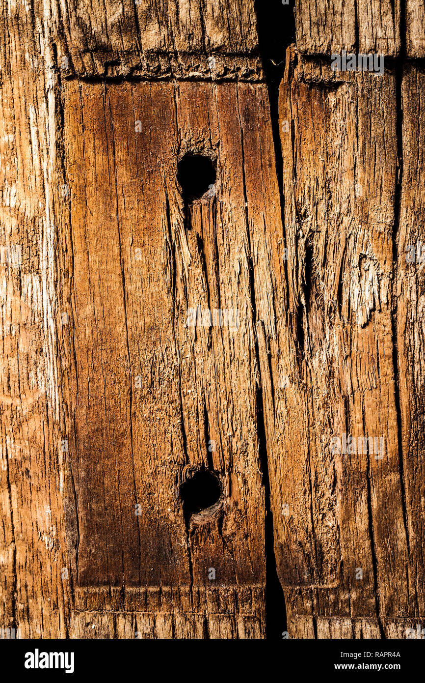 Natural Tree Wood Bark Trunk Background Material Stock Photo - Alamy