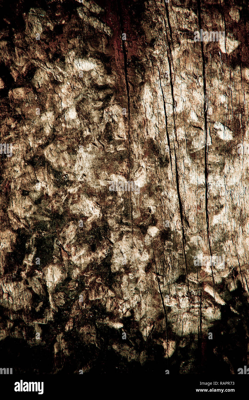 Natural Tree Wood Bark Trunk Background Material Stock Photo - Alamy