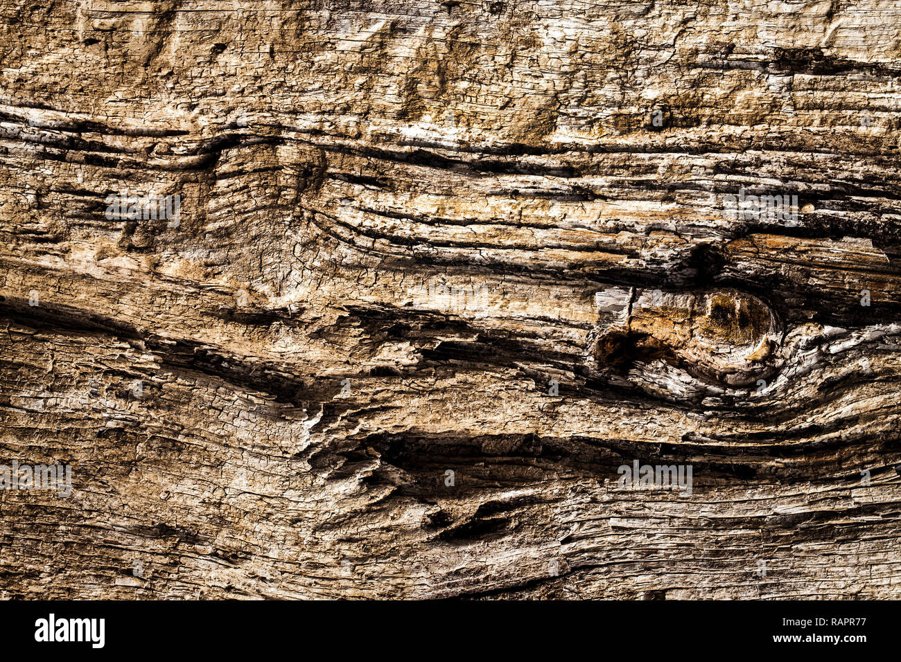 Natural Tree Wood Bark Trunk Background Material Stock Photo - Alamy
