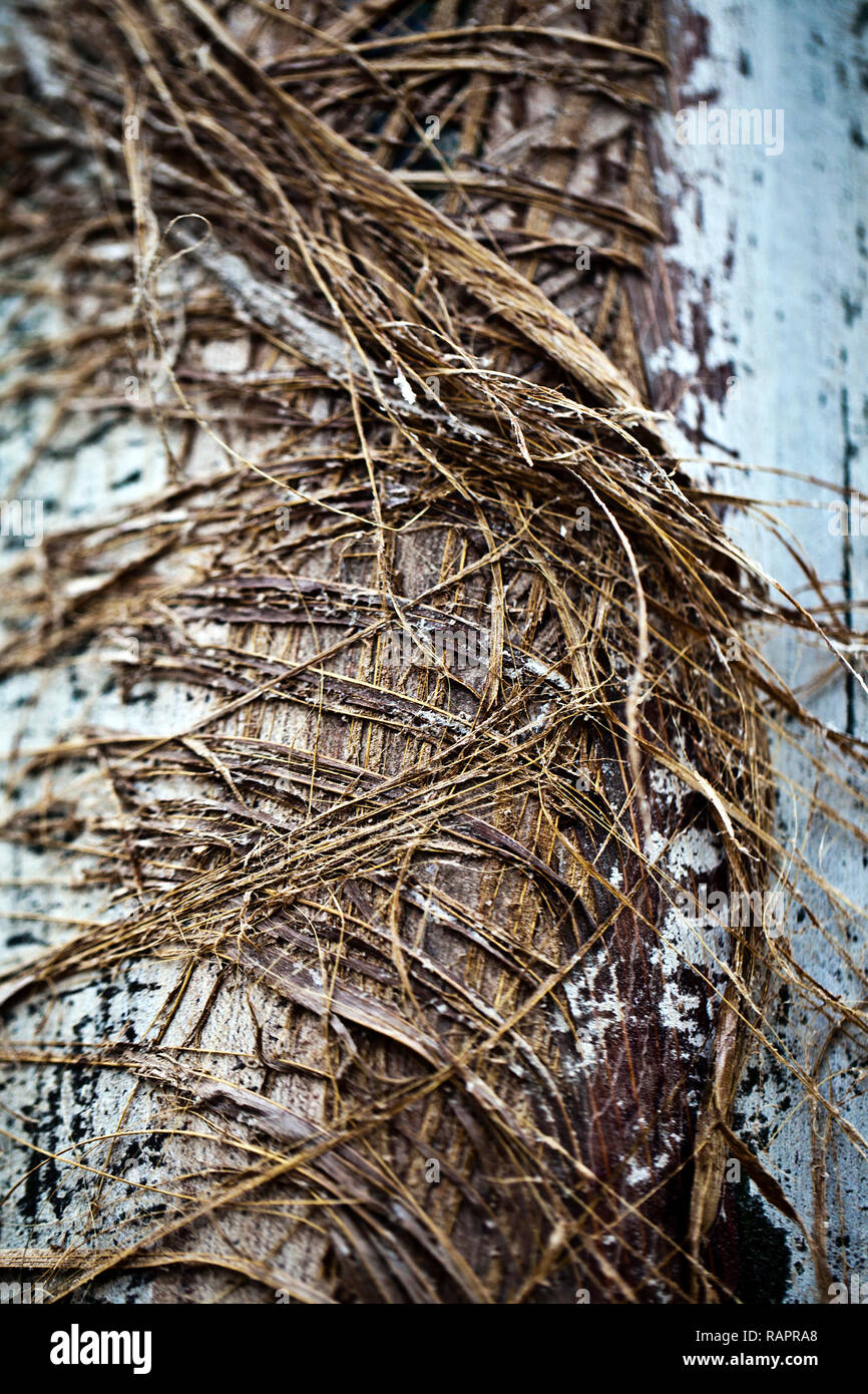Natural Tree Wood Bark Trunk Background Material Stock Photo - Alamy