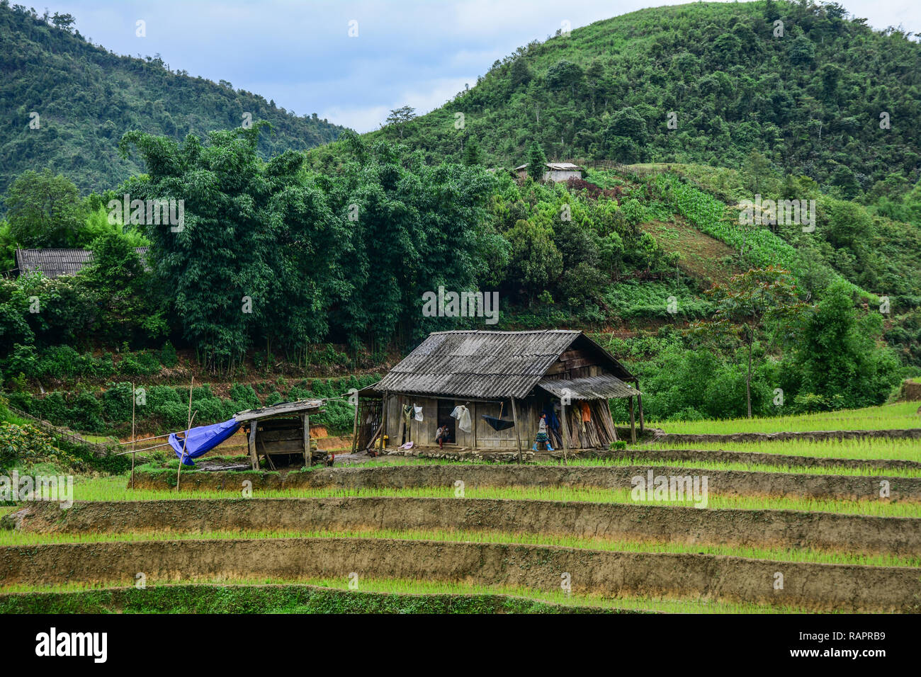 Vietnamese traditional house at mountain village in Northern Vietnam ...