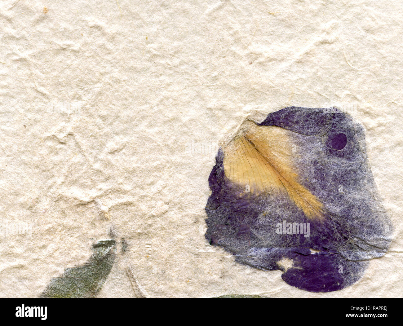 Abstract Organic Natural Paper You can use it as a background in your ...