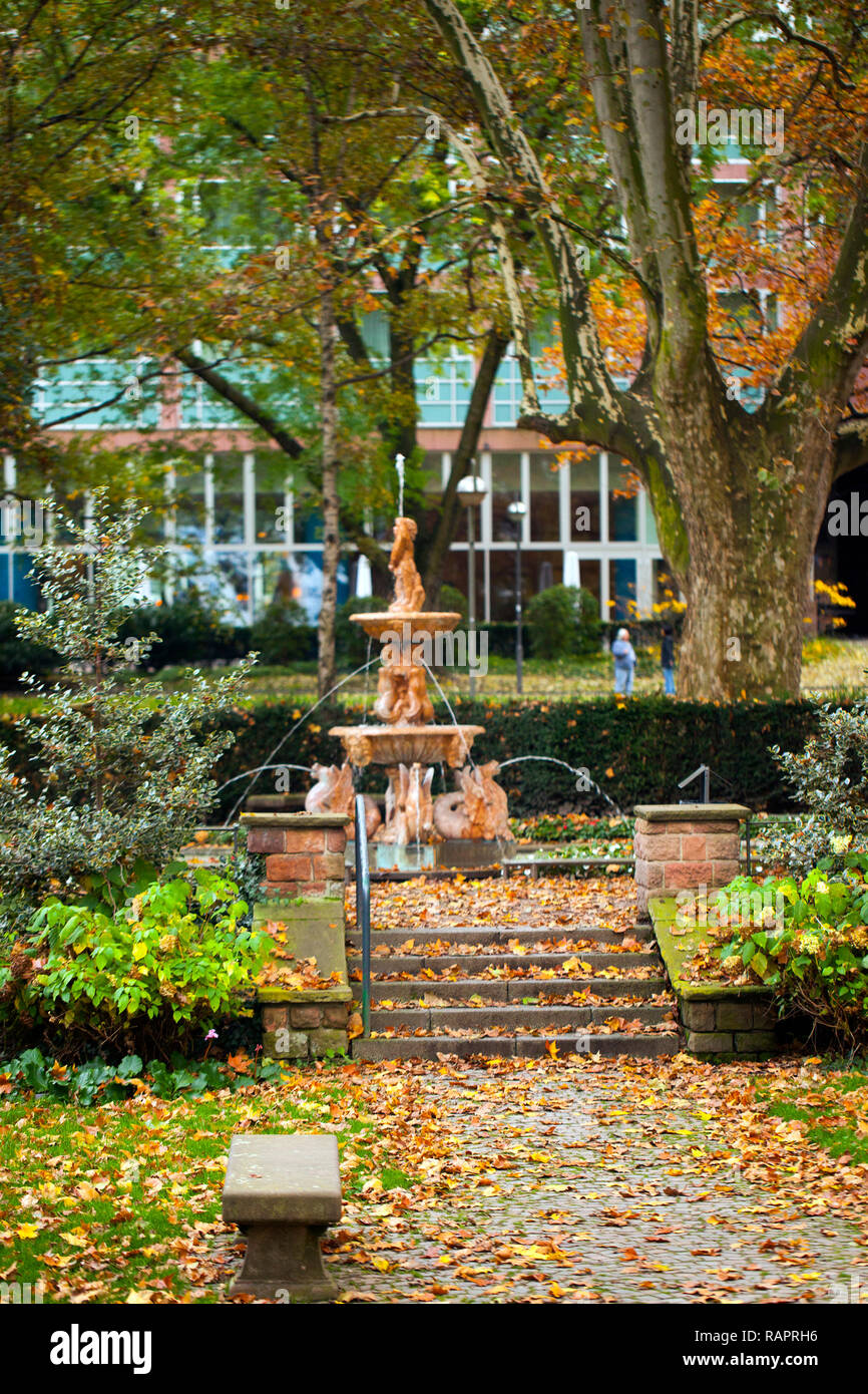 Seasonal Trees and Roads Green Nature in Park Photo Stock Photo - Alamy