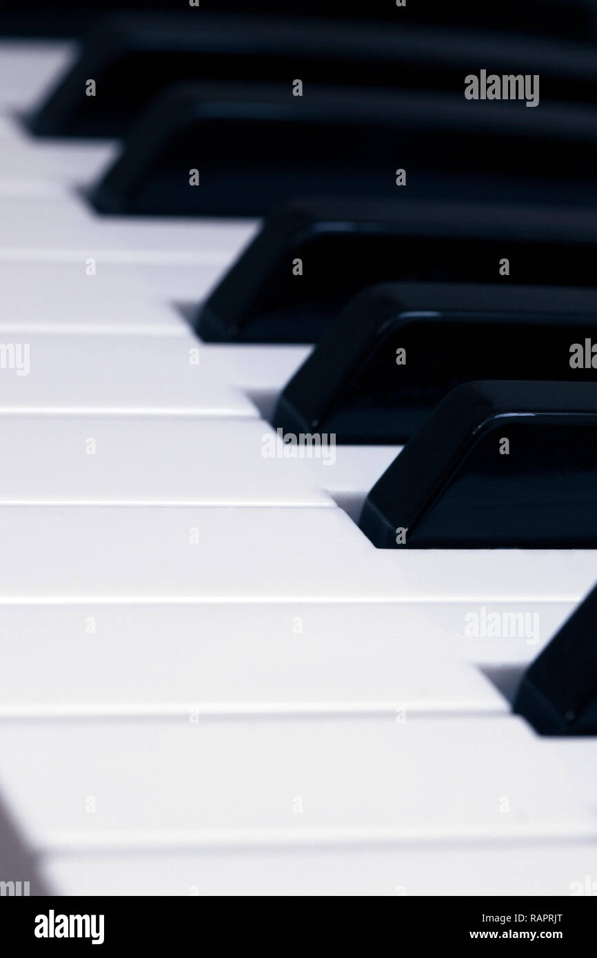 Melodic Musical Instrument Piano Keys Elegance and Romantic Stock Photo ...