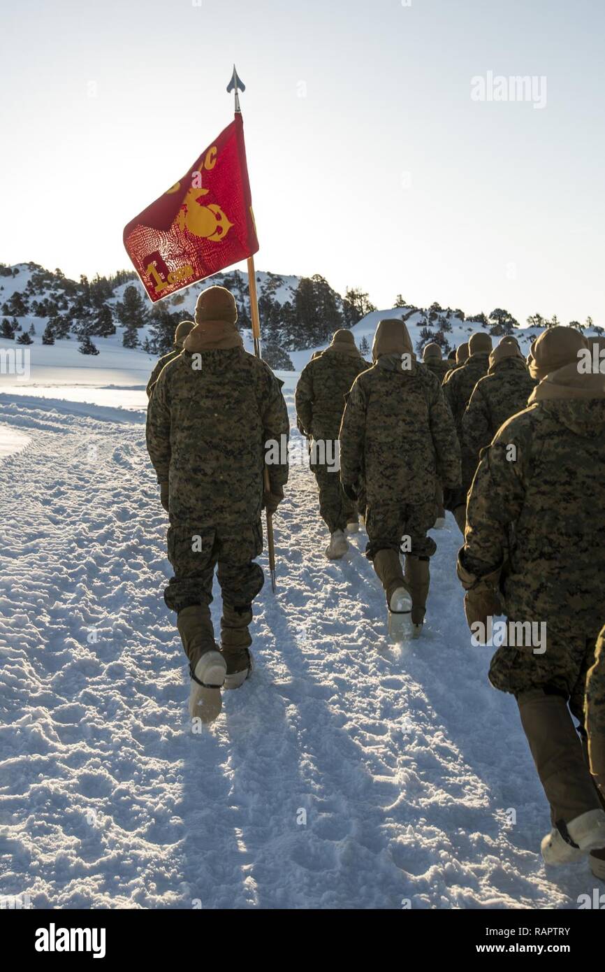 U.S. Marines with Bravo Company, 1st Combat Engineer Battalion (CEB ...