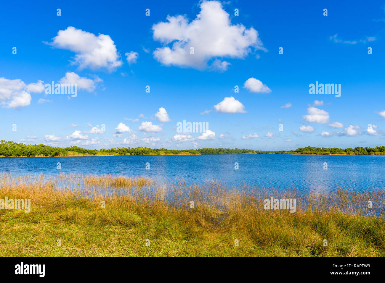 Mangrove nine hi-res stock photography and images - Alamy