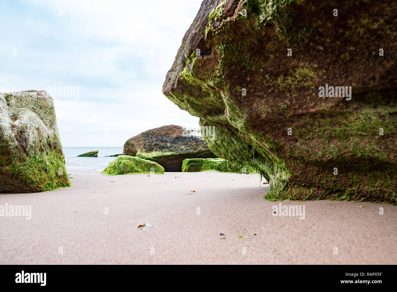 Photography - Nick Harrison Stock Photo - Alamy