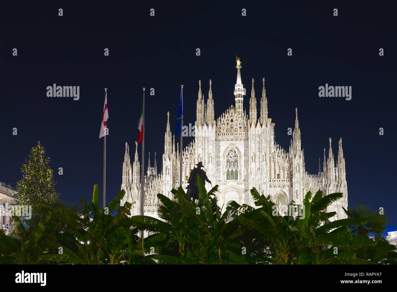 Duomo, the Christmas tree and the palm trees in Milan by night Stock ...