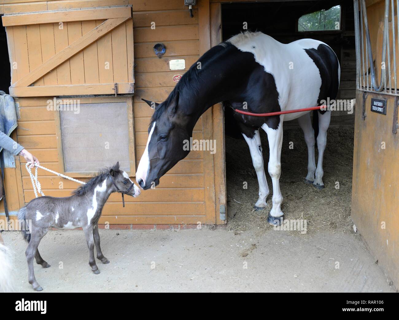 Dave finn hi-res stock photography and images - Alamy