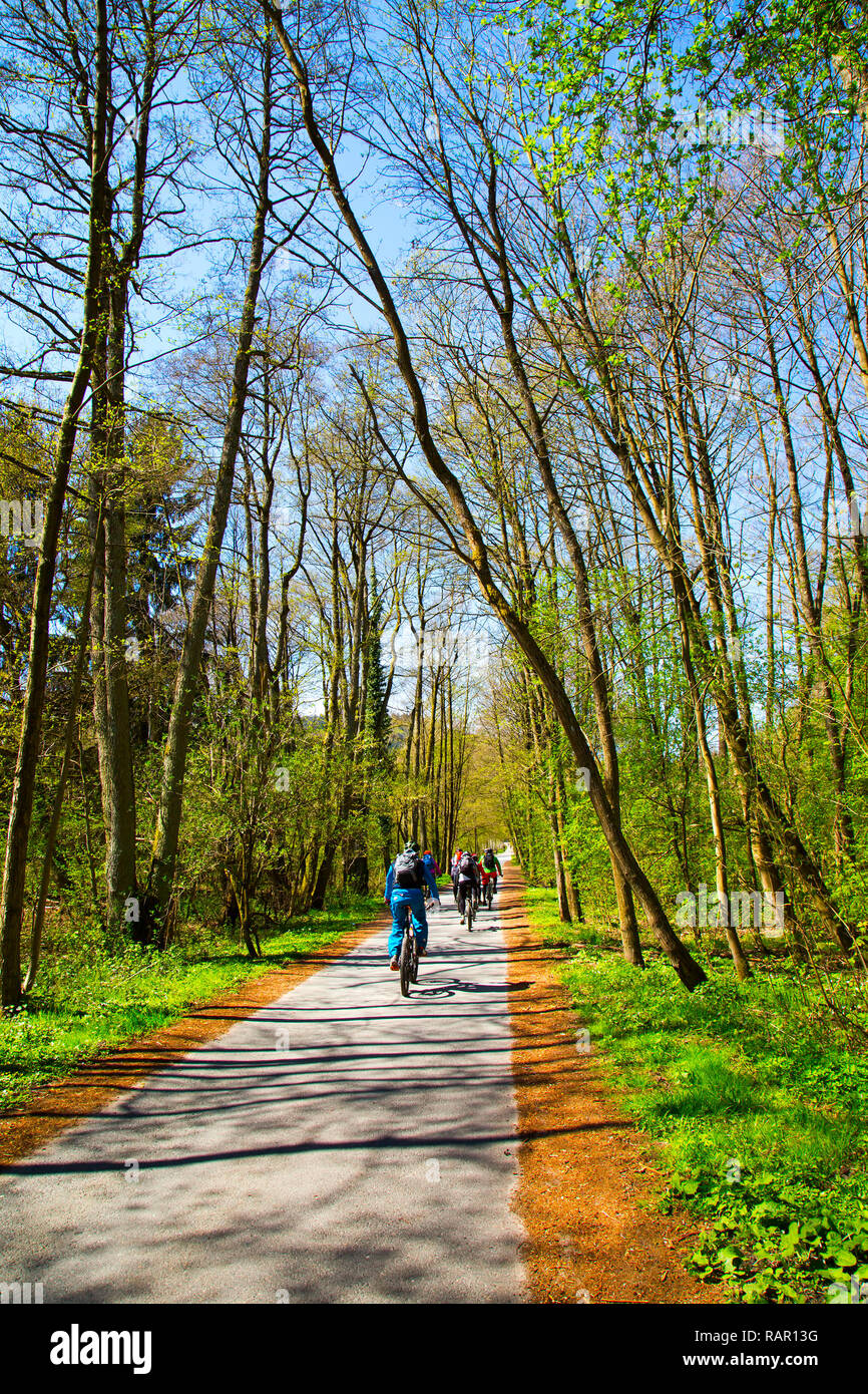 Trees in the Nature in Park Outdoor Concept Stock Photo - Alamy
