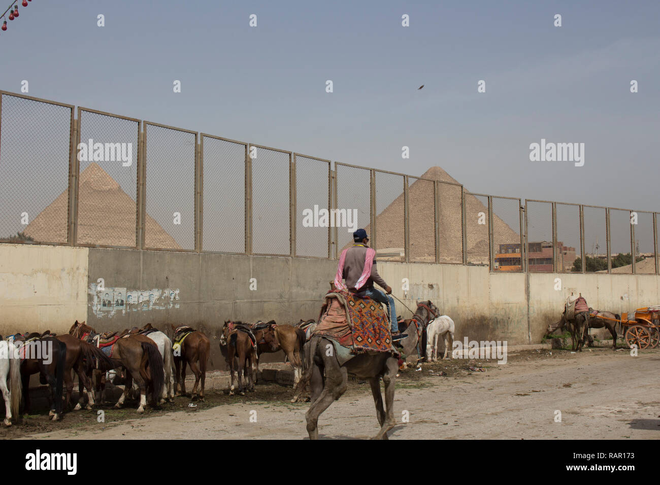 Diffrent point of view hi-res stock photography and images - Alamy