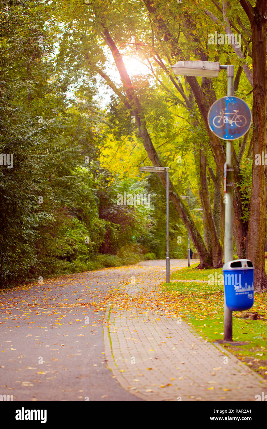 Seasonal Trees and Roads Green Nature in Park Photo Stock Photo - Alamy