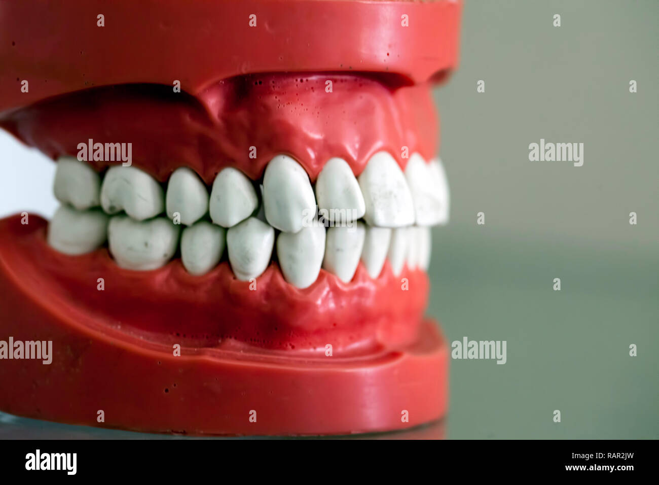 Zirconium Porcelain Tooth plate in Dentist Store Macro Detailed Photo ...