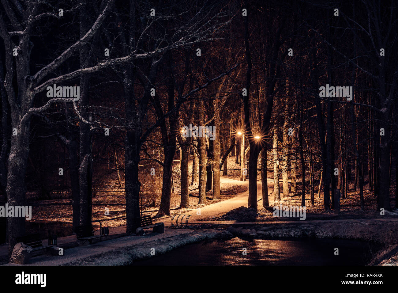Moody Photo of the Park at Night in the Winter - Snow Covering the ...