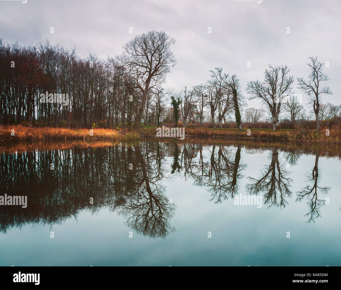 Denmark pond lake hi-res stock photography and images - Alamy