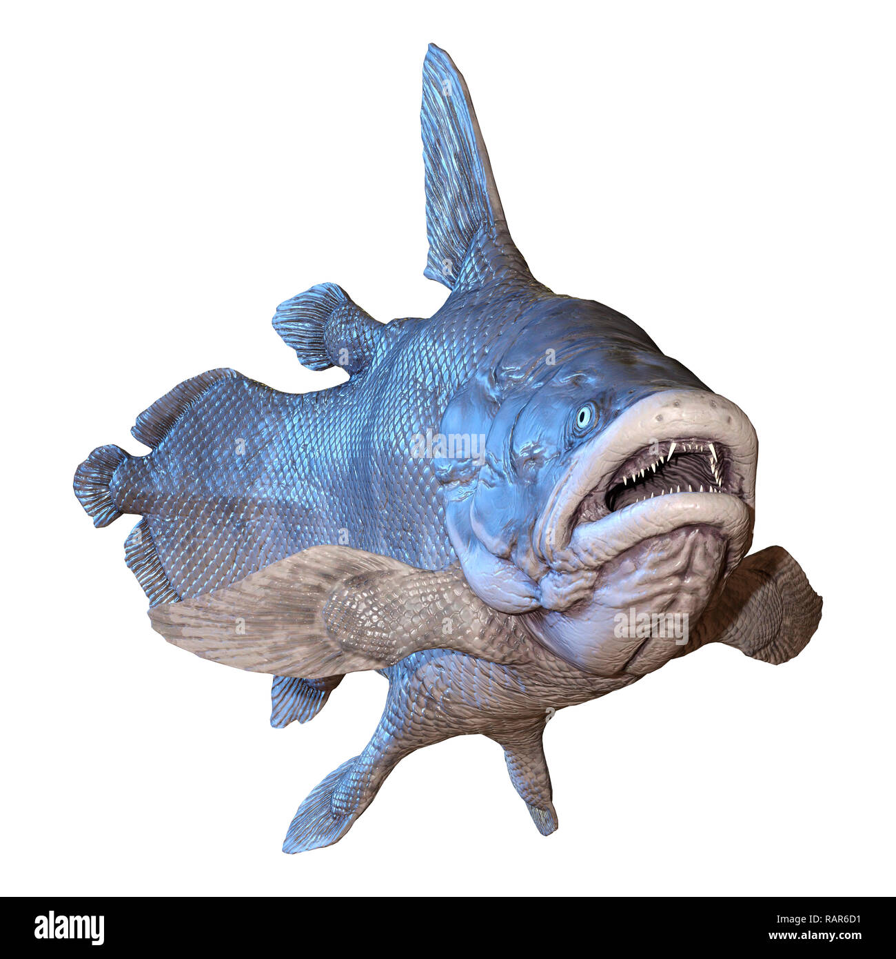 3D rendering of a Mawsonia, an extinct genus of prehistoric coelacanth ...