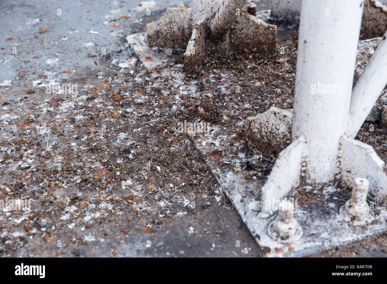 Grunge Dirty Pigeon Bird Poop Stock Photo Alamy