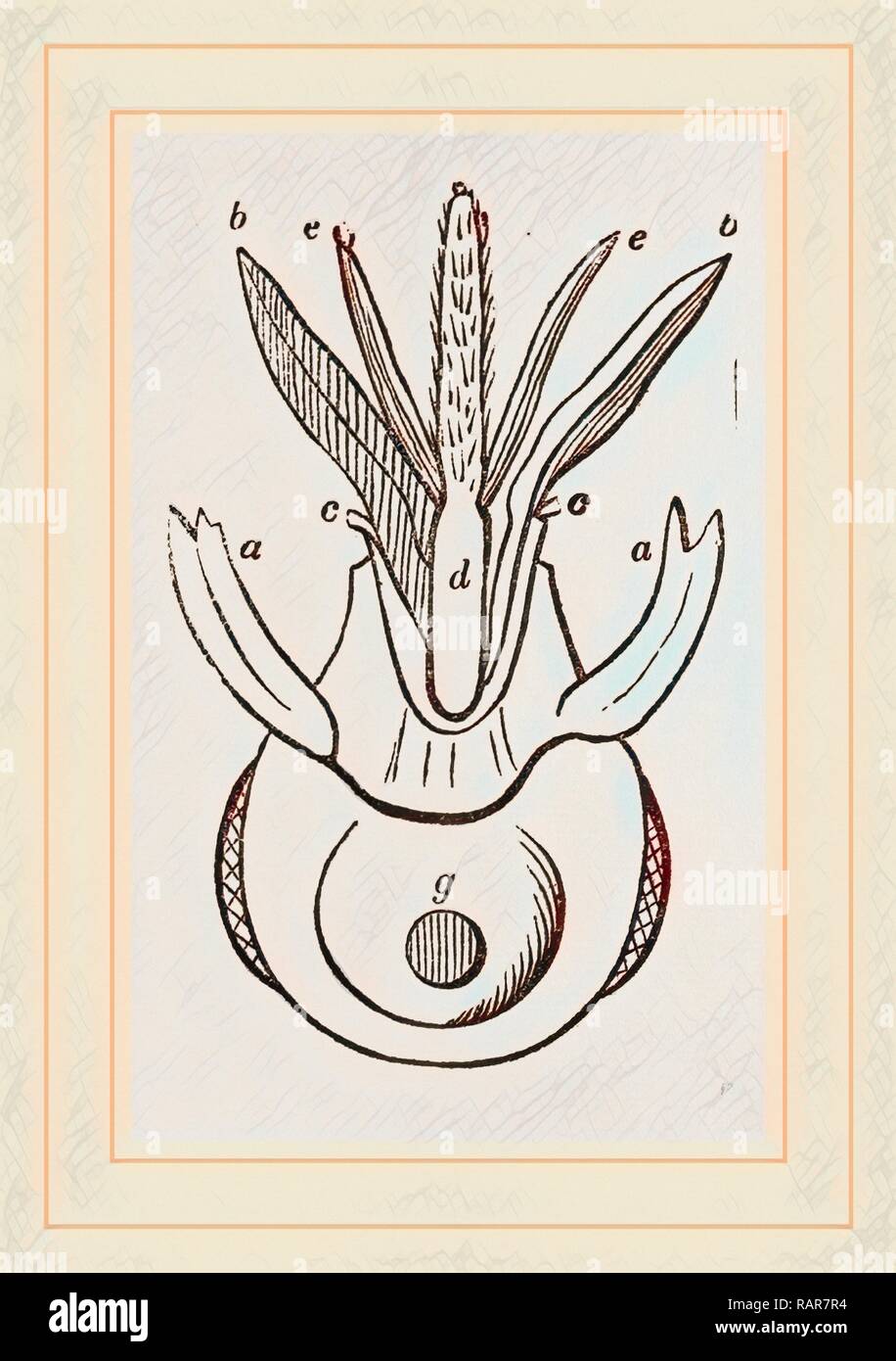 Humble-Bee. Reimagined by Gibon. Classic art with a modern twist ...