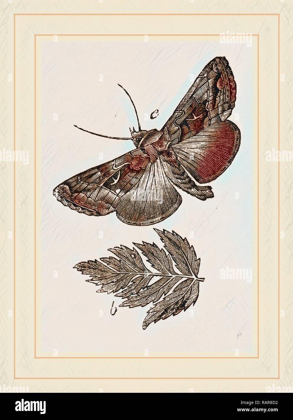 Gamma Moth. Reimagined by Gibon. Classic art with a modern twist ...