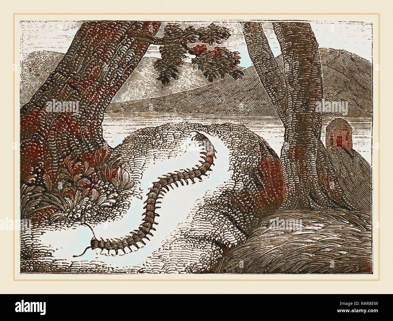 Electric Centipede. Reimagined by Gibon. Classic art with a modern ...