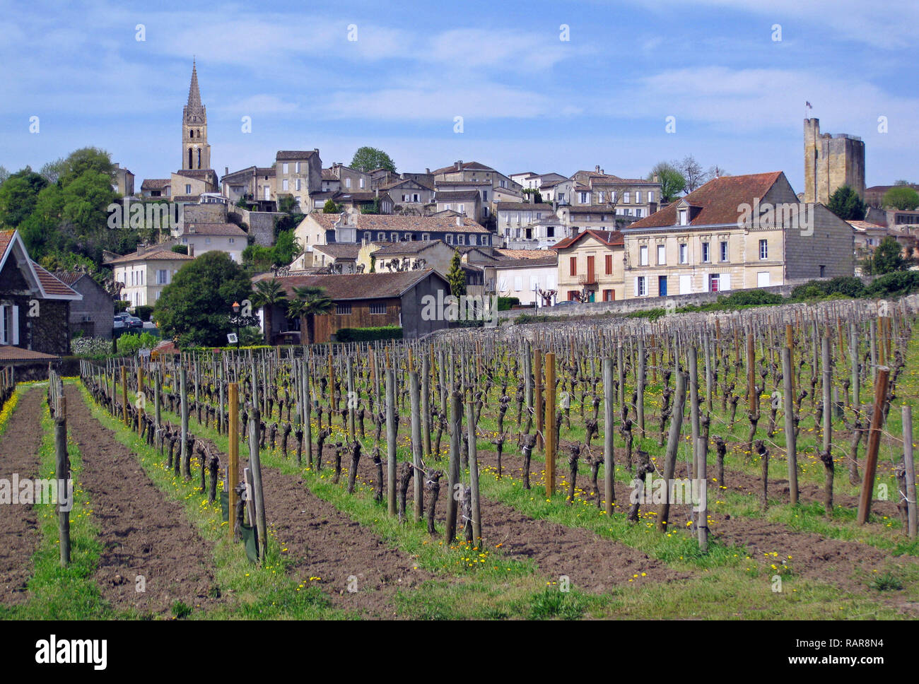 Vignoble saint emilion hi-res stock photography and images - Alamy
