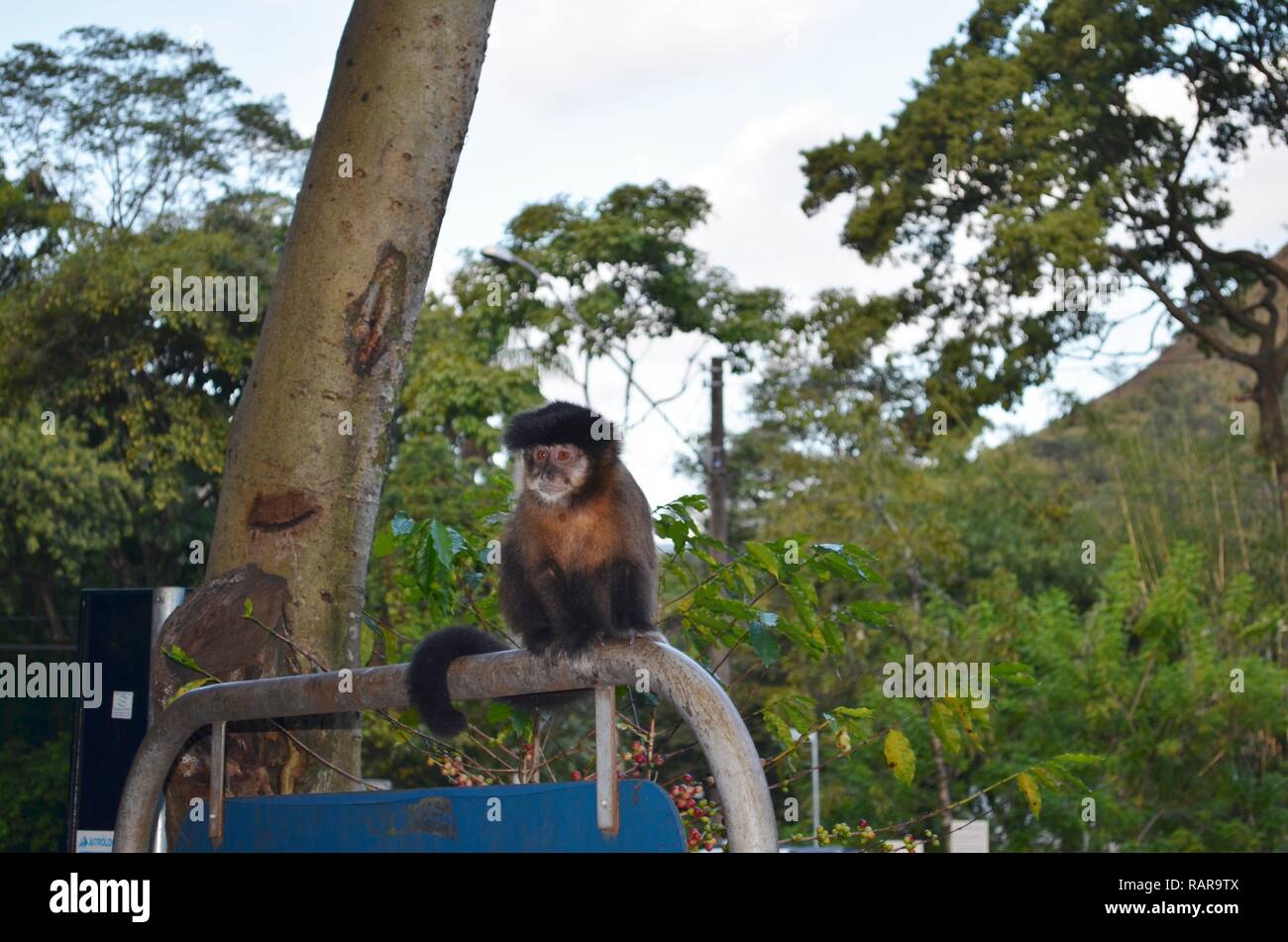 Alexa lauren hi-res stock photography and images - Alamy