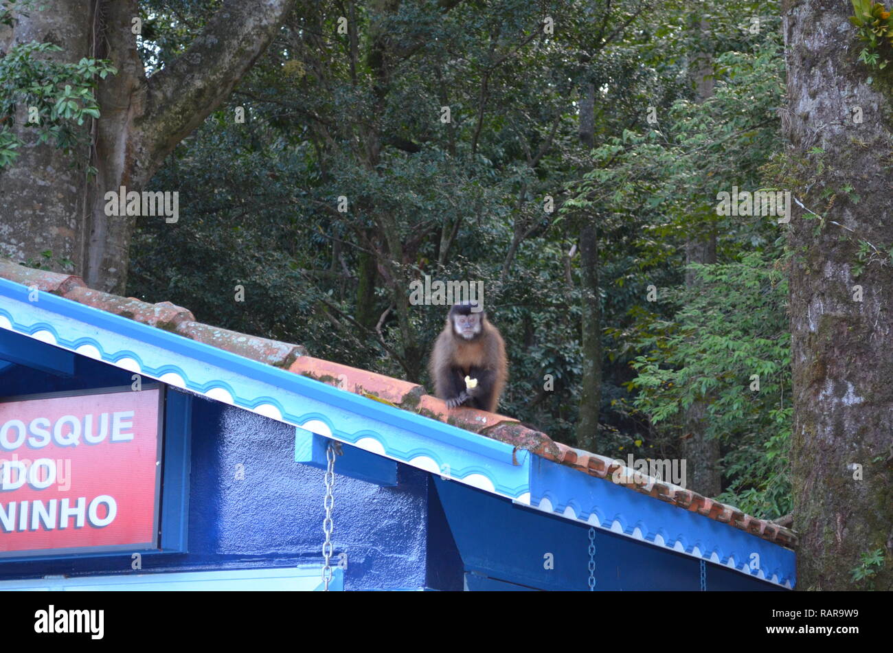 Alexa lauren hi-res stock photography and images - Alamy