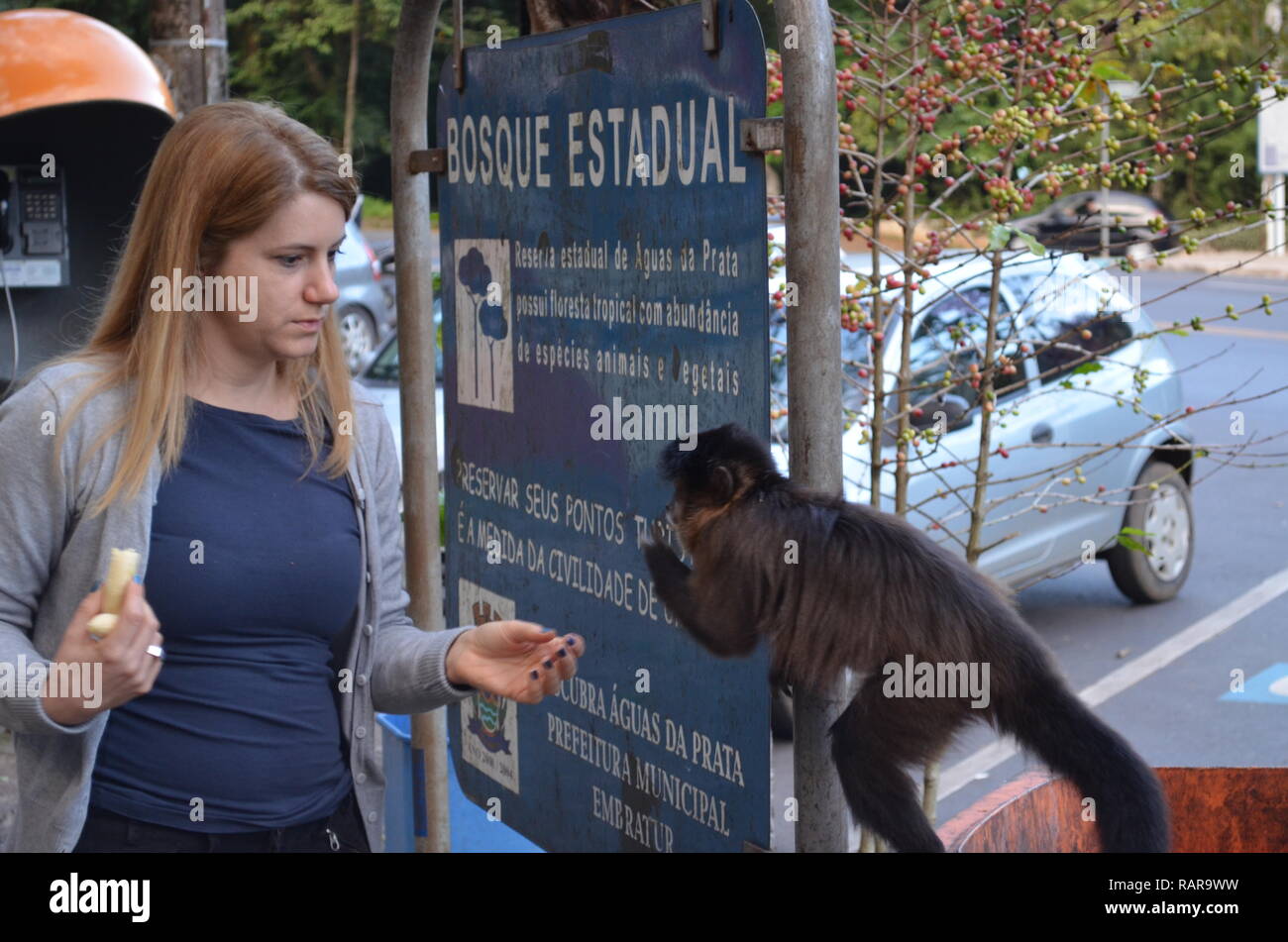 Alexa lauren hi-res stock photography and images - Alamy