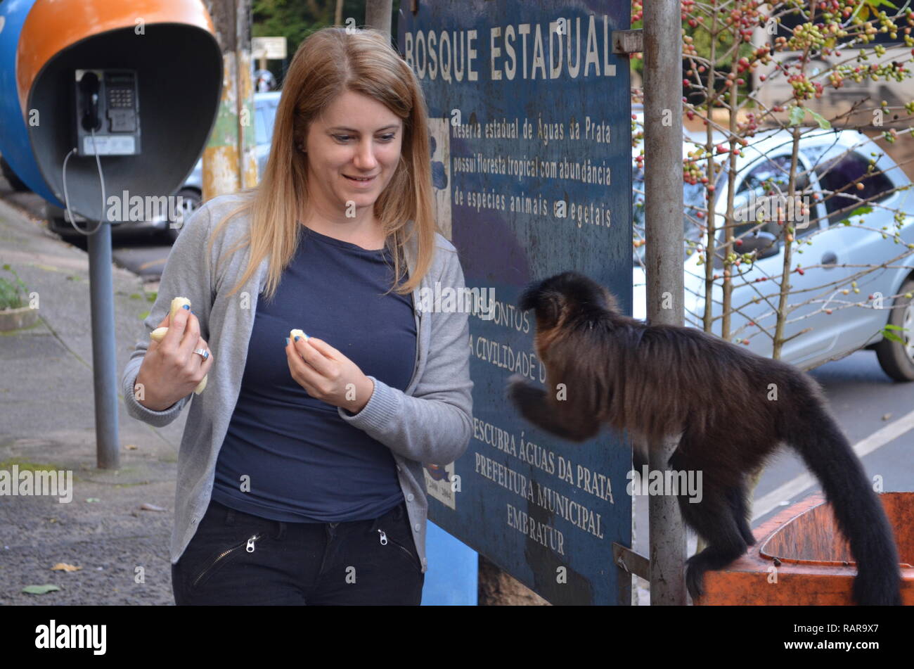 Peters mills hi-res stock photography and images - Alamy