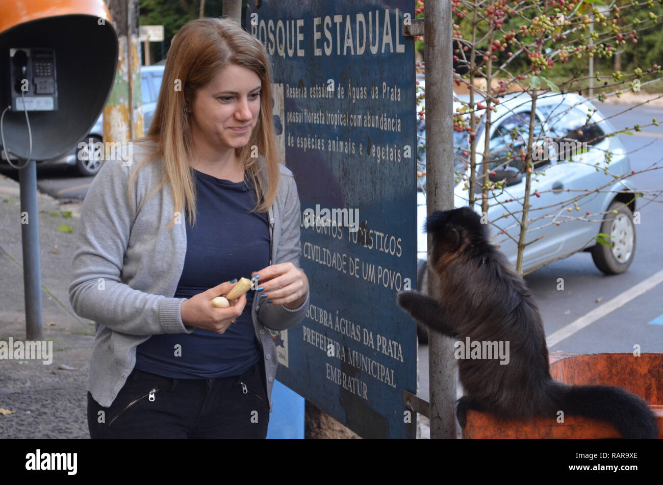 Peters cartridge company hi-res stock photography and images - Alamy