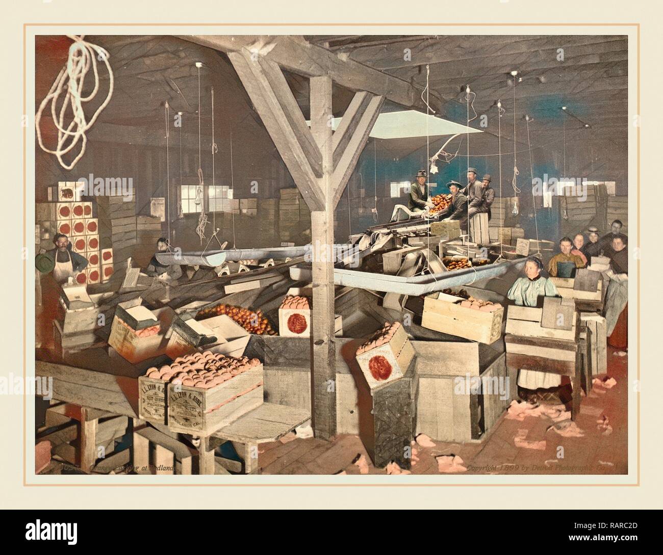 American 19th Century (Detroit Photographic Co.), Orange Packing at ...