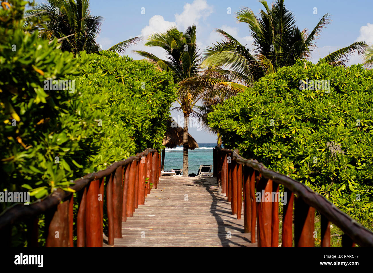 A boardwalk path leading to the beautiful beach Stock Photo - Alamy