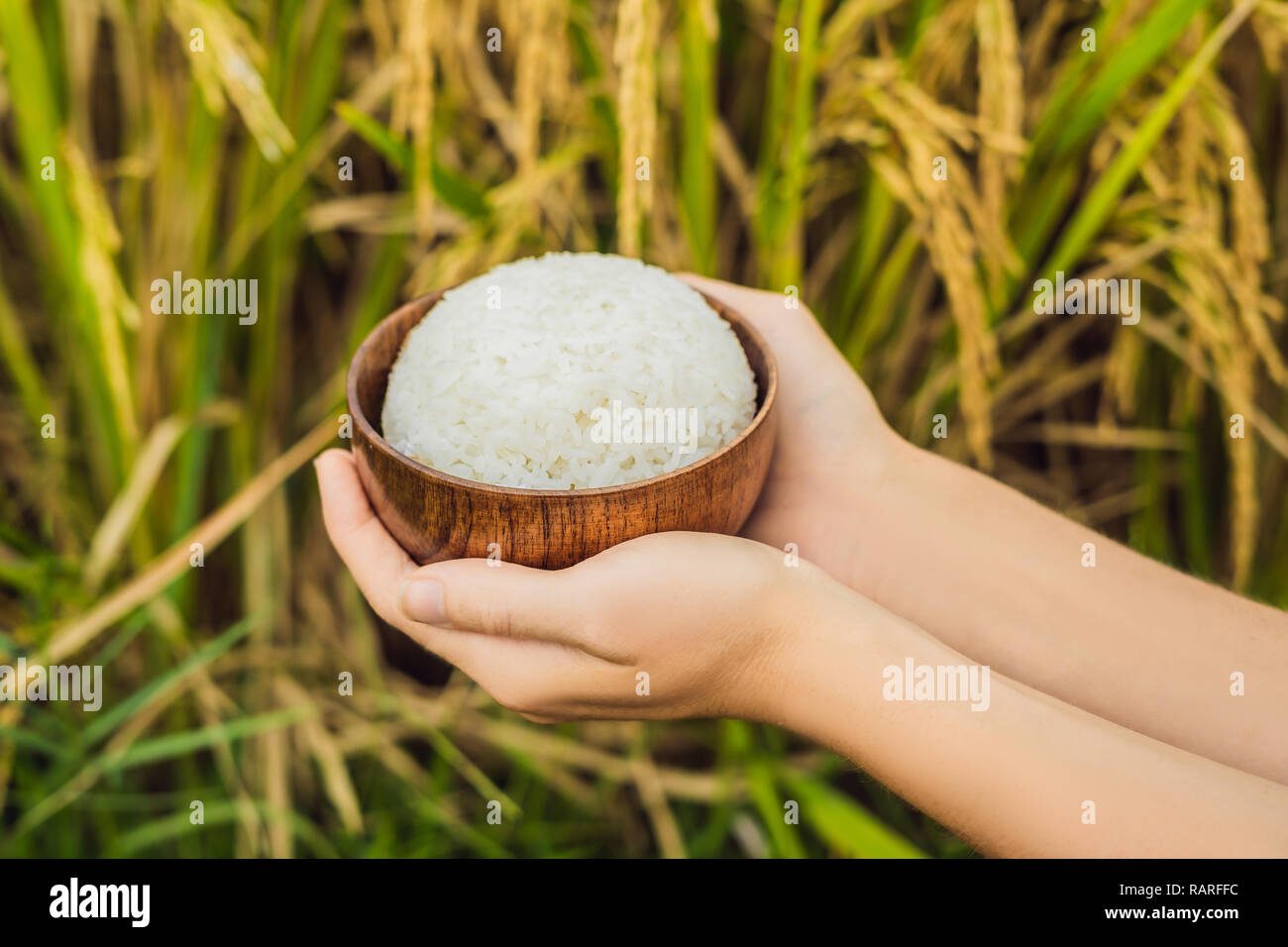 Threshing rice by hand hi-res stock photography and images - Alamy