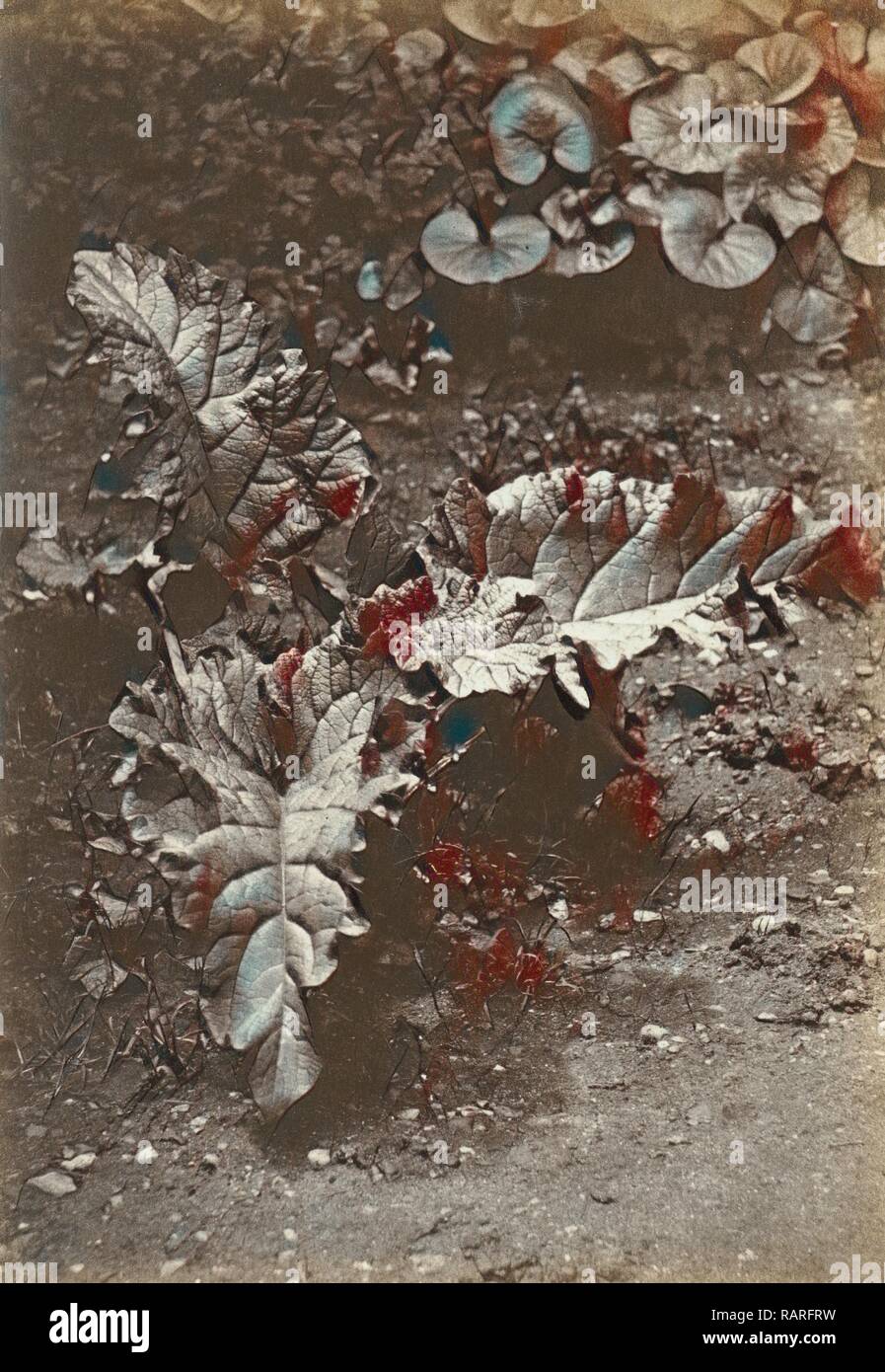 Study of a leaf, Robert Burrows attributed to, 1860. Reimagined by ...