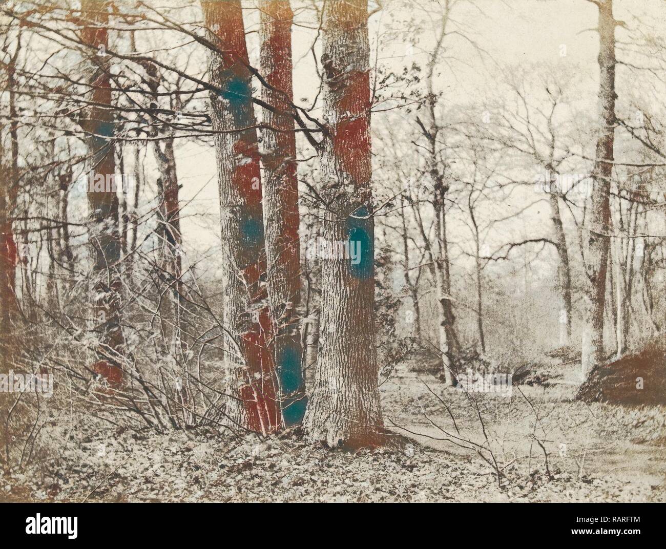 Tree Study, Hendrick Hondius (I), 1599. Reimagined by Gibon. Classic ...