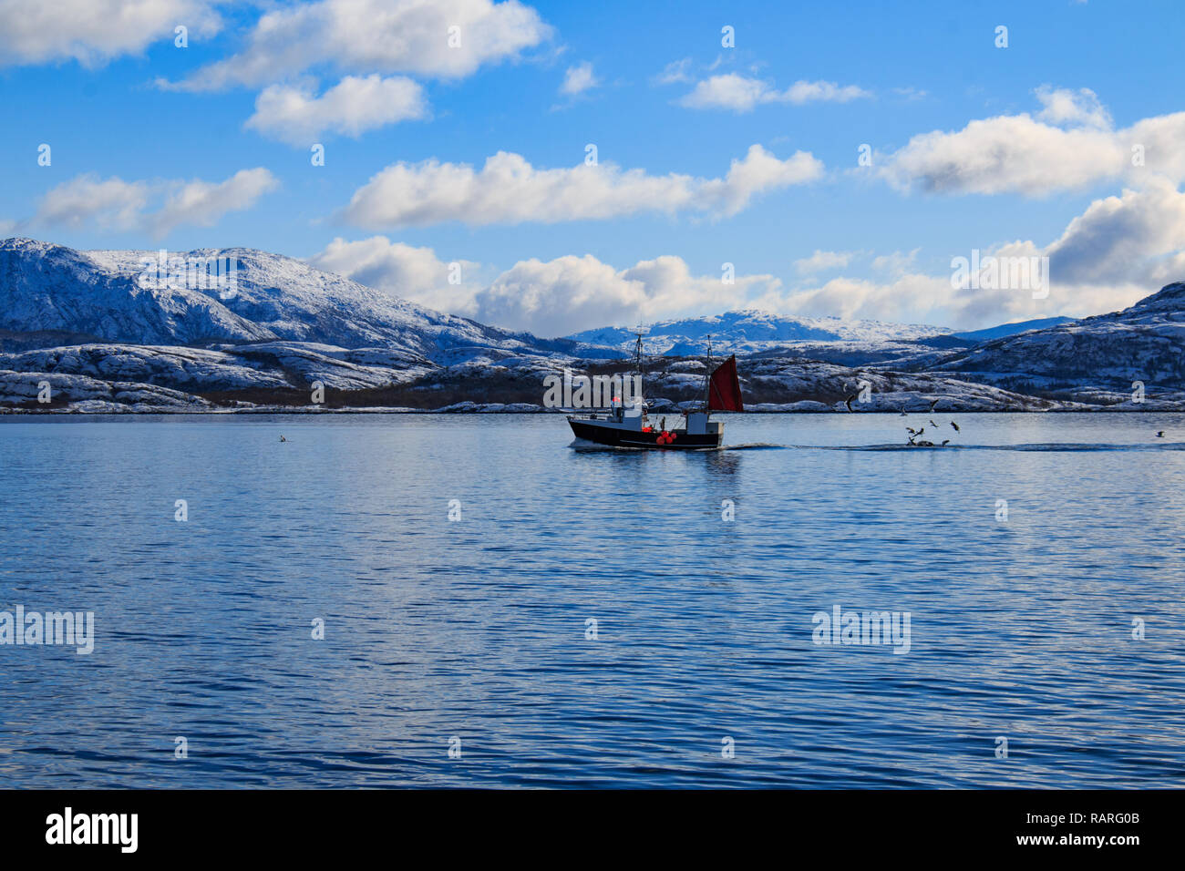 Sailing in the norwegian fjords in winter Stock Photo - Alamy