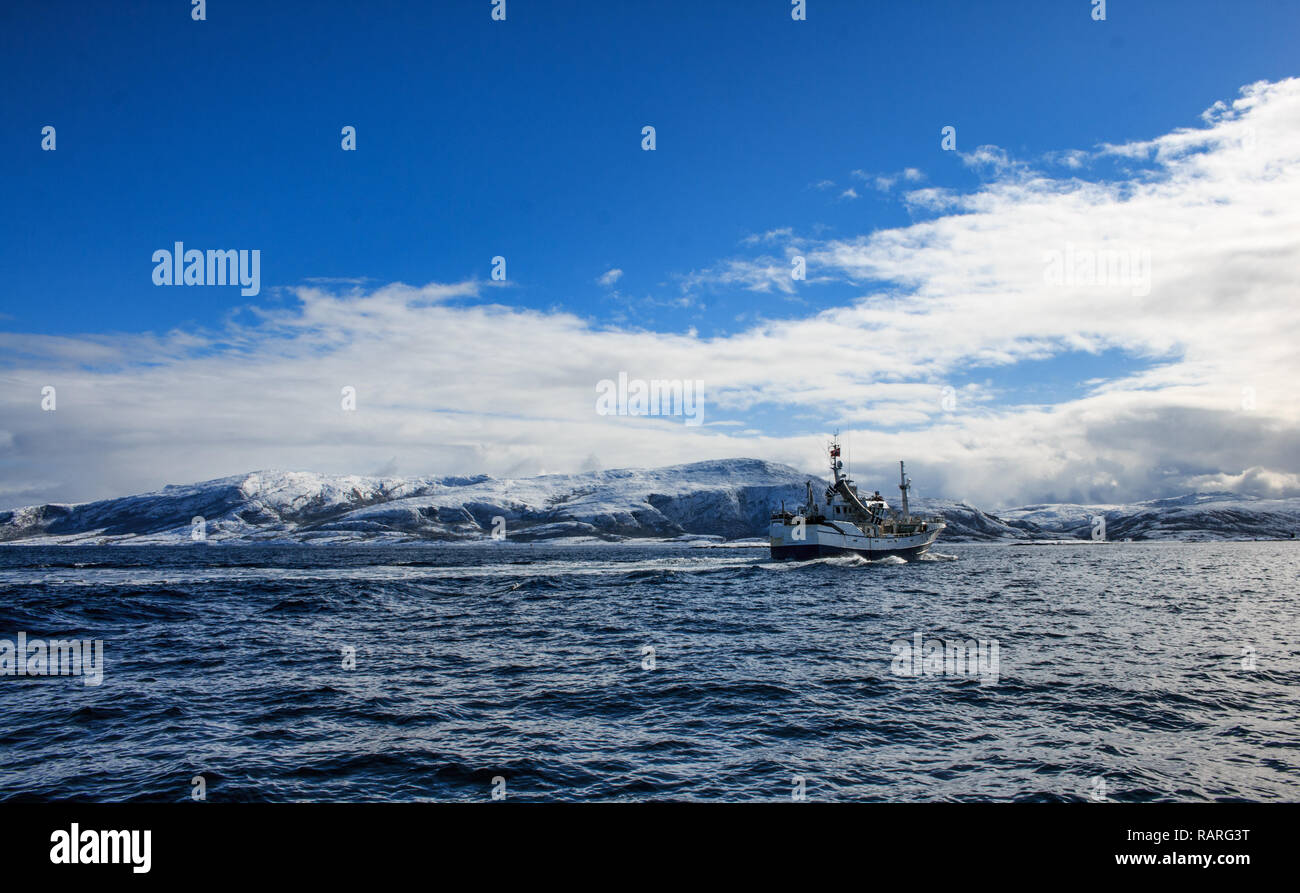 Sailing in the norwegian fjords in winter Stock Photo - Alamy