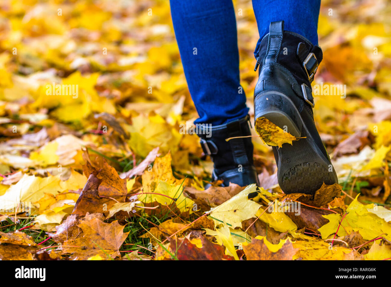Closeup female legs in jeans hi-res stock photography and images - Alamy