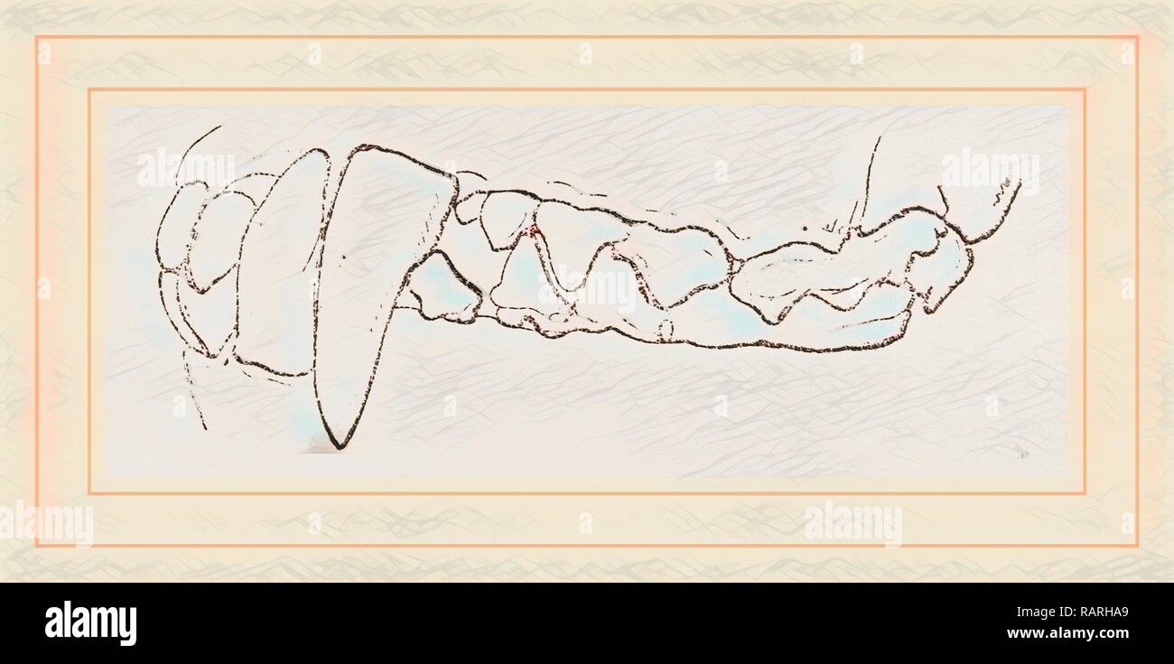 Teeth of Badger. Reimagined by Gibon. Classic art with a modern twist ...