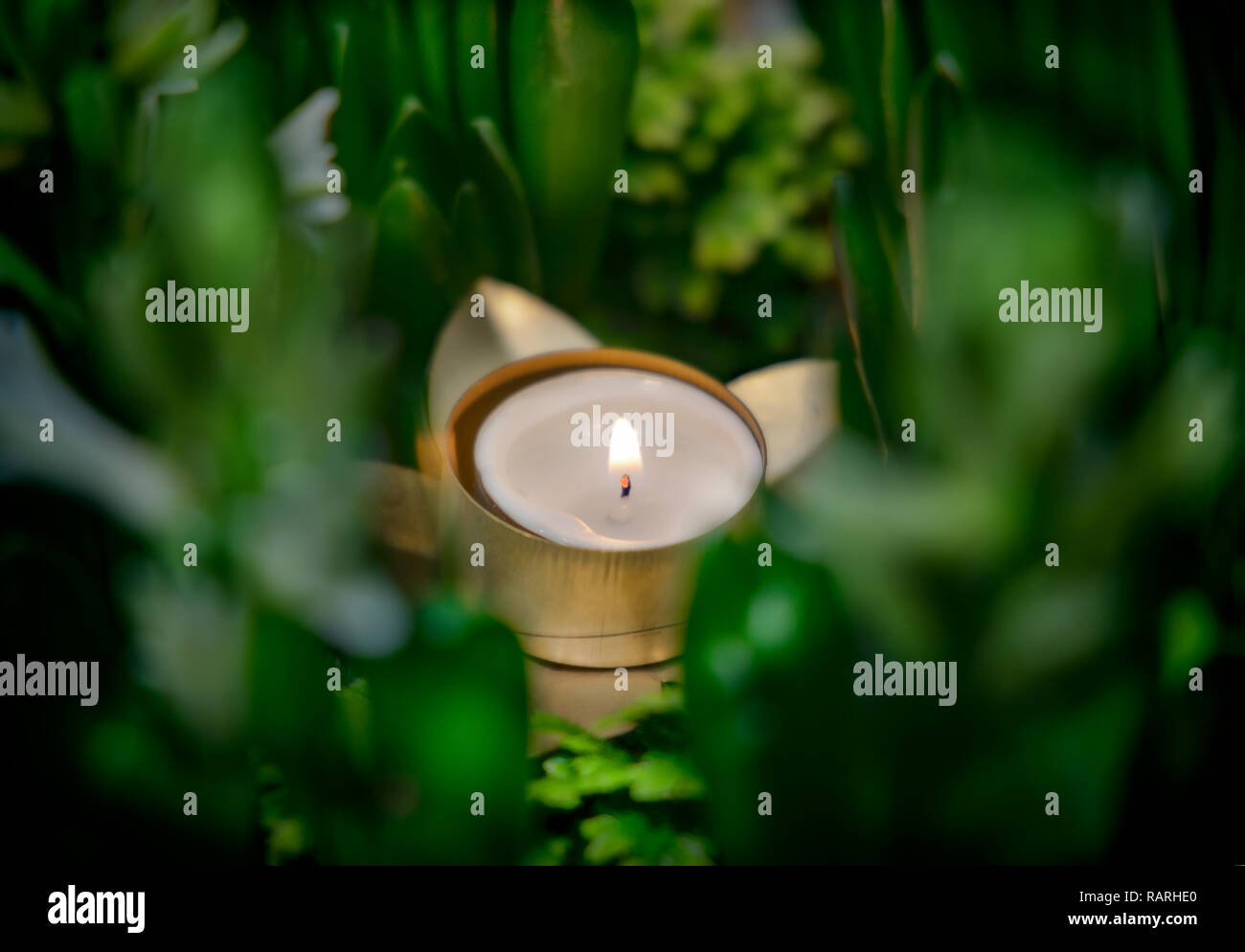 Candle burning in nature hi-res stock photography and images - Alamy