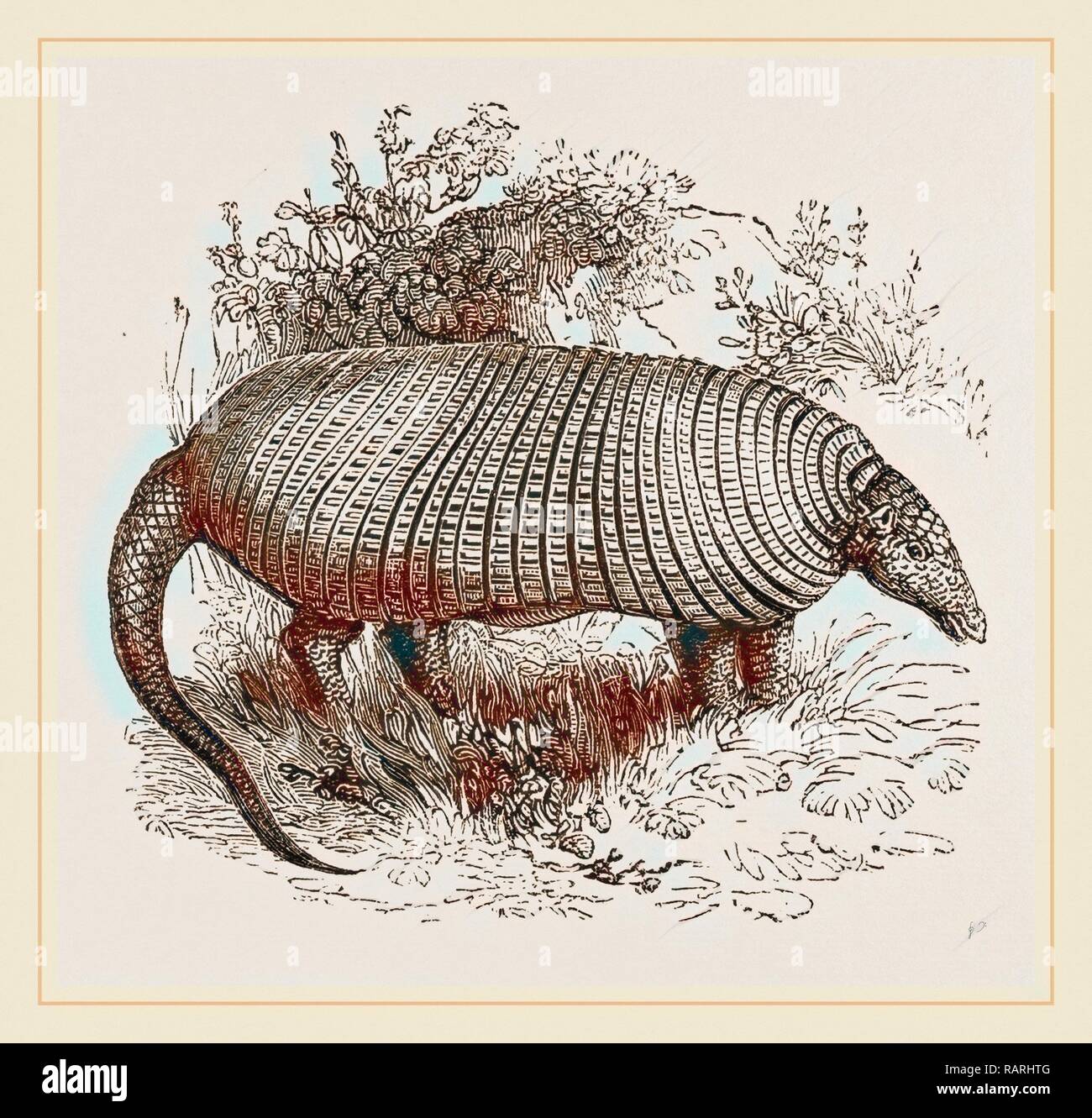 The Great Armadillo. Reimagined by Gibon. Classic art with a modern ...