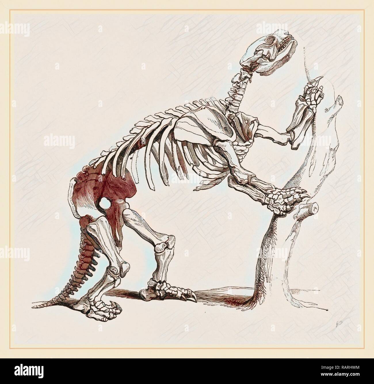Skeleton of Mylodon robustus. Reimagined by Gibon. Classic art with a ...