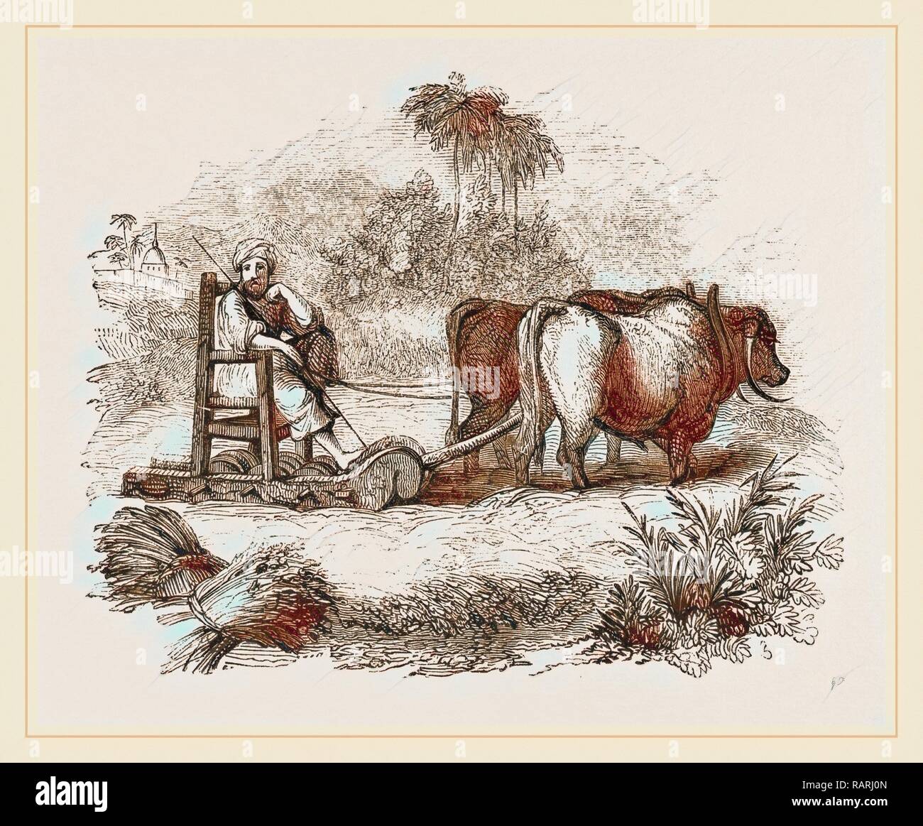 Threshing sledge hi-res stock photography and images - Alamy