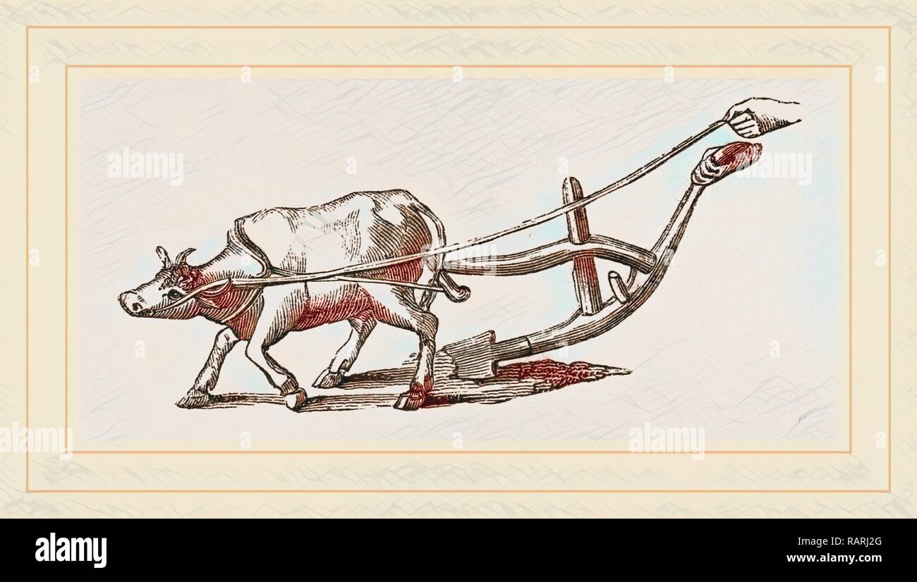 Ancient Plow Plows With Complete Explanations And Familiarization