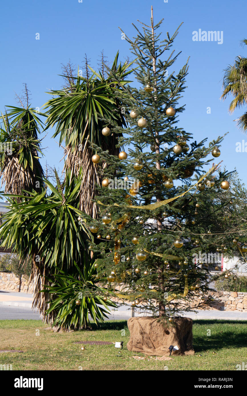 Tree dressed up for Christmas on roundabout in Spain Stock Photo - Alamy