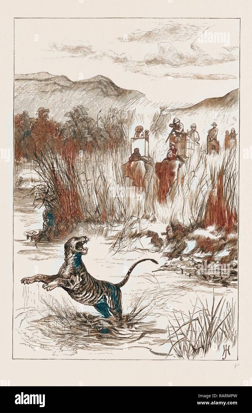 THE PRINCE OF WALES HUNTING IN THE TERAI: SHOOTING A TIGER FROM THE ...
