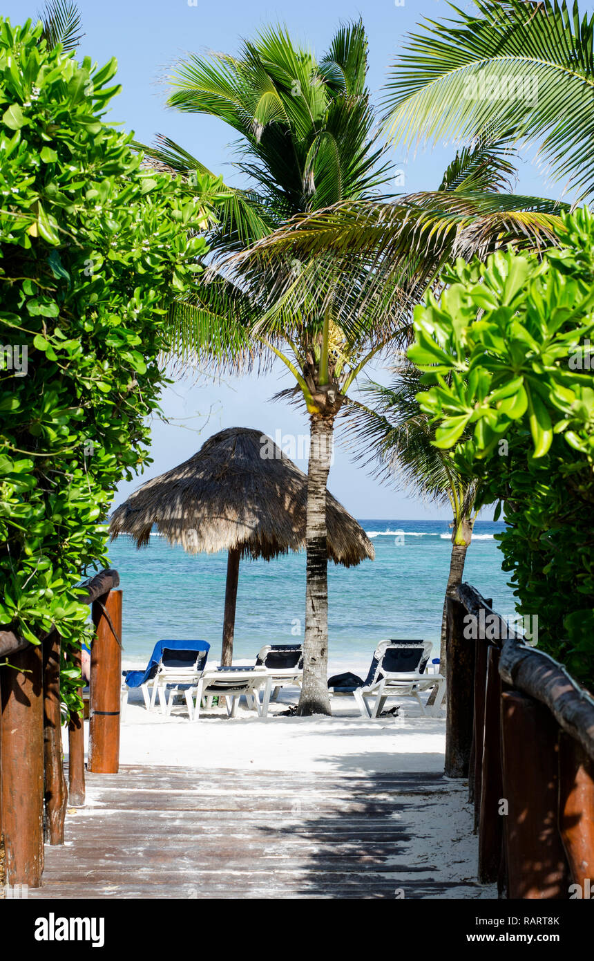 A boardwalk path leading to the beautiful beach Stock Photo - Alamy