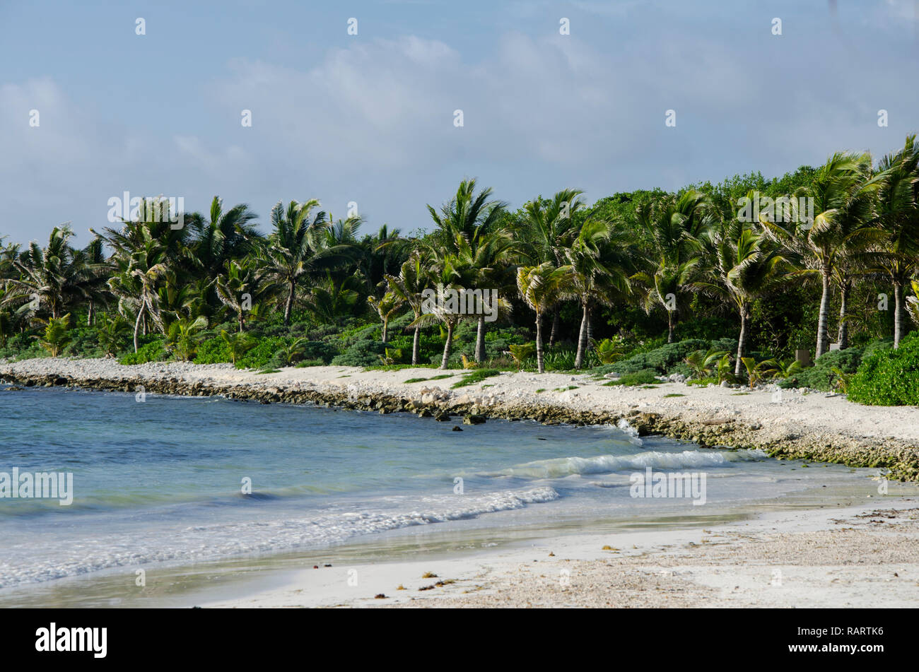 Tropical beach with white sand and the palm trees in Riviera Maya ...